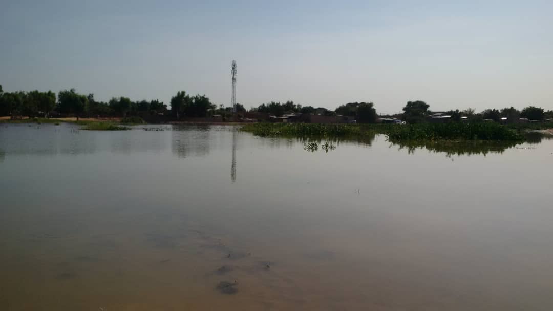 Tchad : La montée inquiétante des eaux du fleuve Chari menace les ...