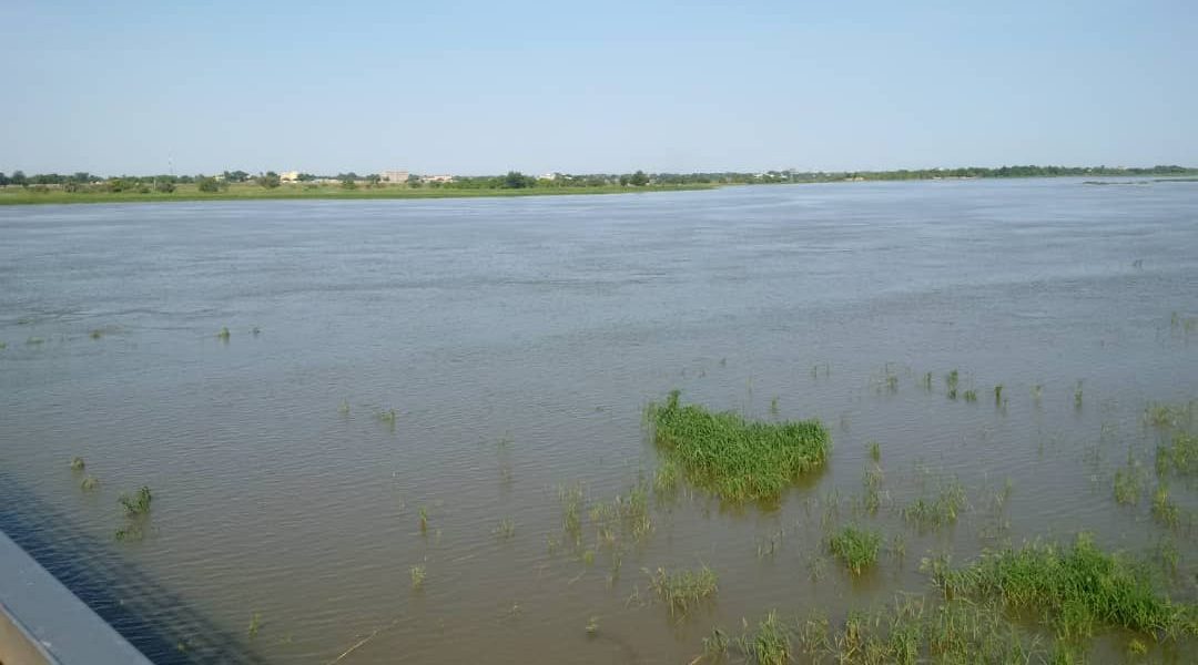 Tchad : La montée inquiétante des eaux du fleuve Chari menace les ...